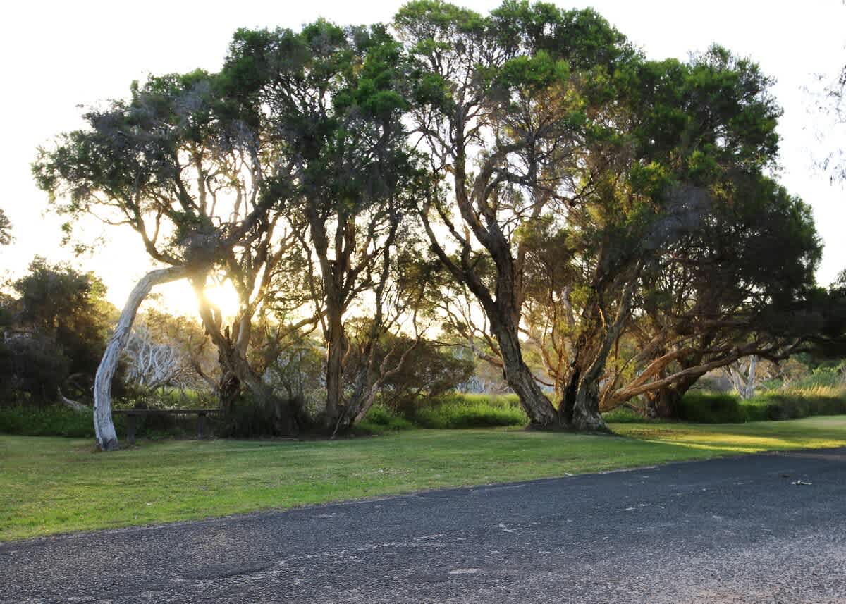 The Quindy, family beach house | Quindalup | South West Holiday Properties