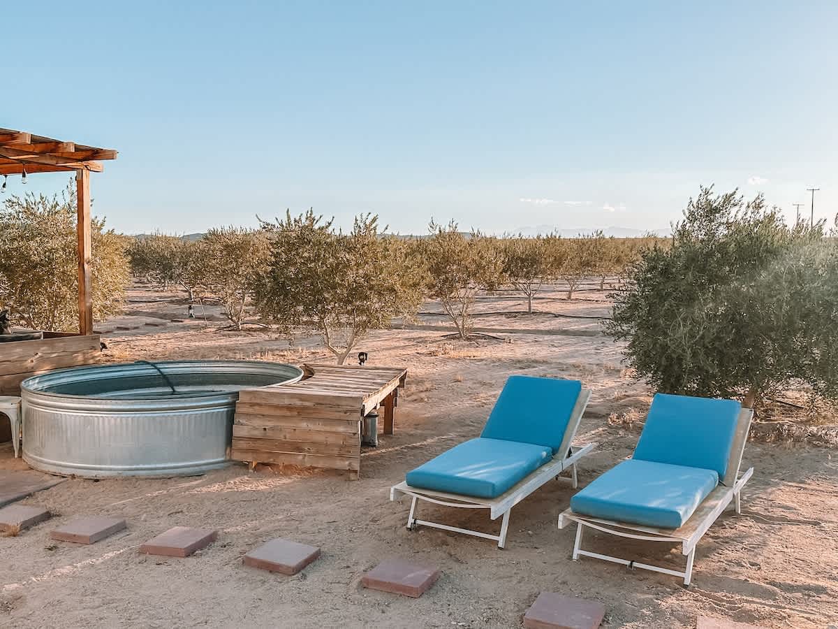 Joshua Tree Olive Farm | The Cohost Company: Joshua Tree