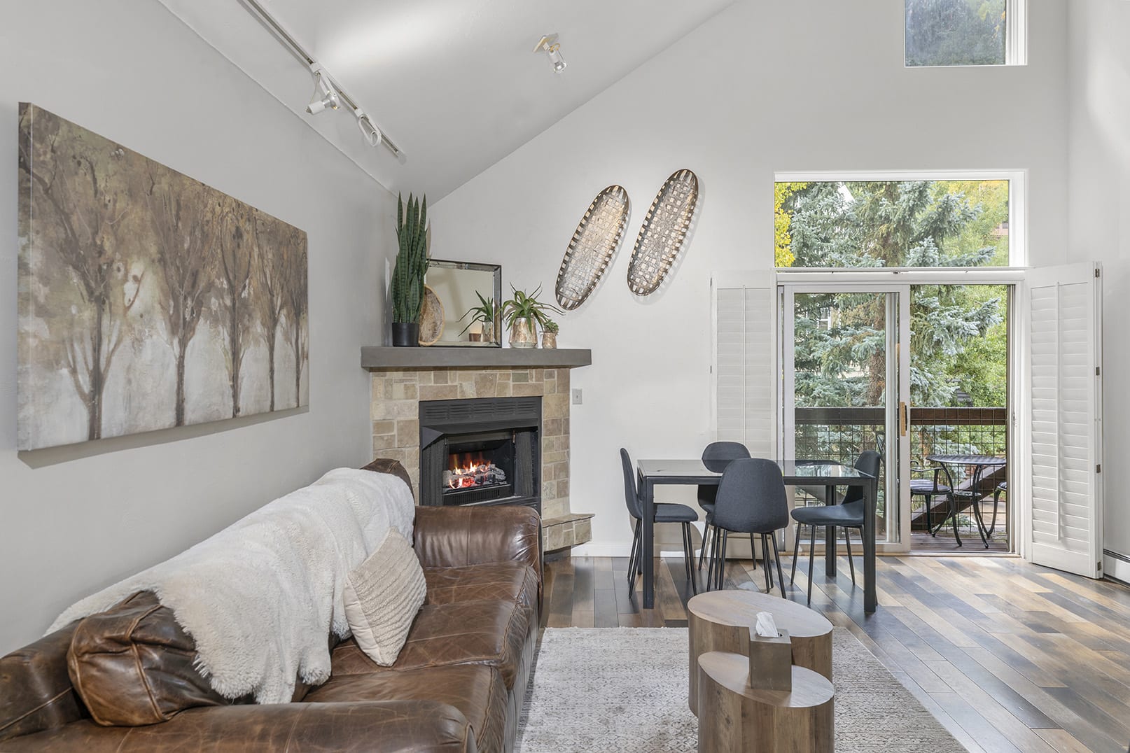 Ski In/out Access And River Trail - Stunning Luxury Retreat - Telluride, CO
