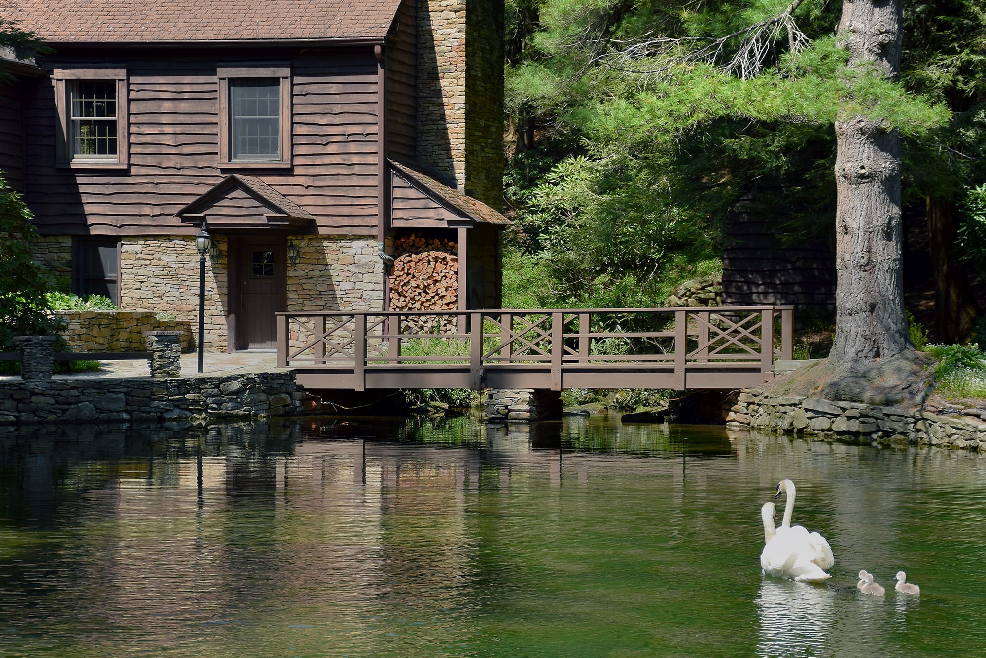 Fin & Feather at Seven Springs | Champion | Highlands Cabins