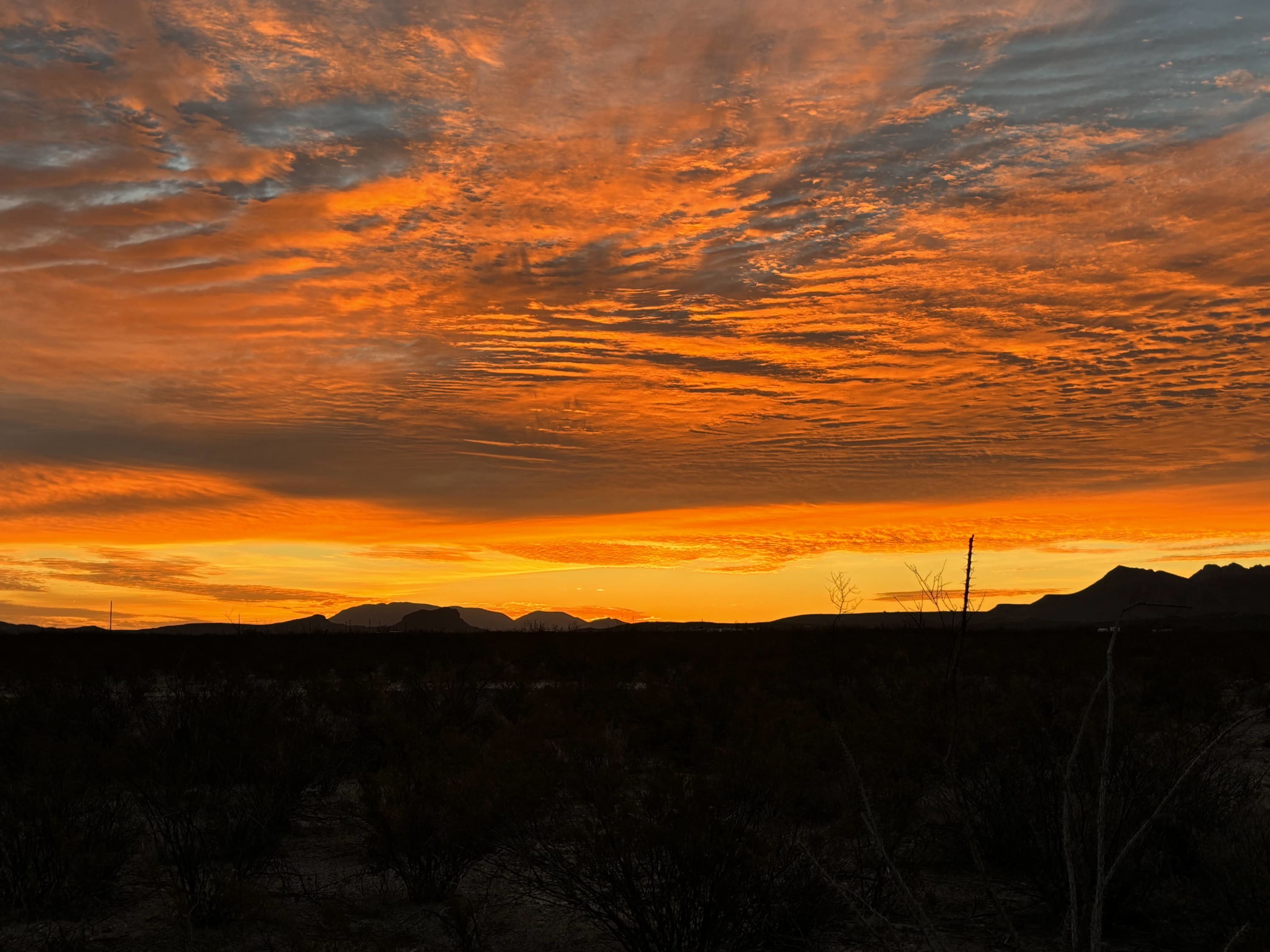 Desert Quail Oasis: Style, Comfort & Easy Access | Terlingua | Big Bend ...