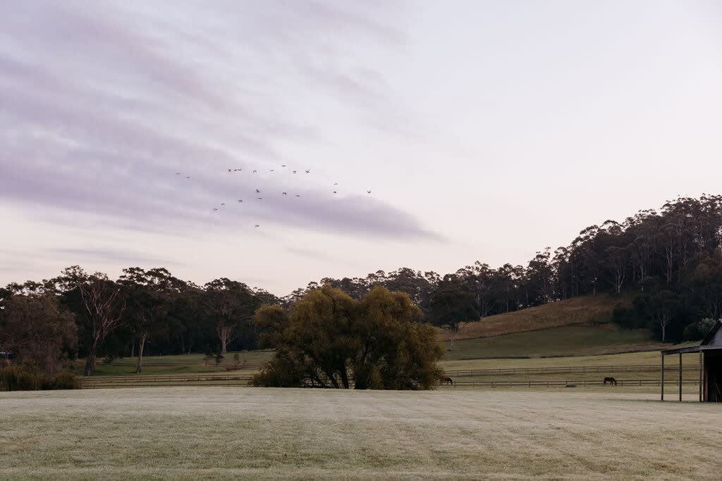 Moraea Farm, Berry - by Linnaeus Collection | Berry | Linnaeus Collection