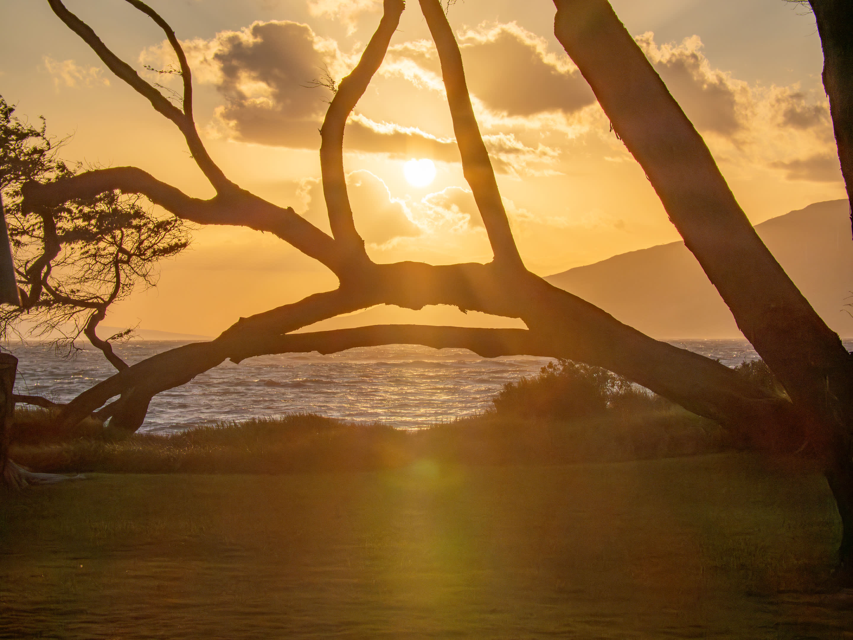 Aloha Aku Hula Suite – Find Peace by the Shore | Kihei | Aloha Aku Inn ...
