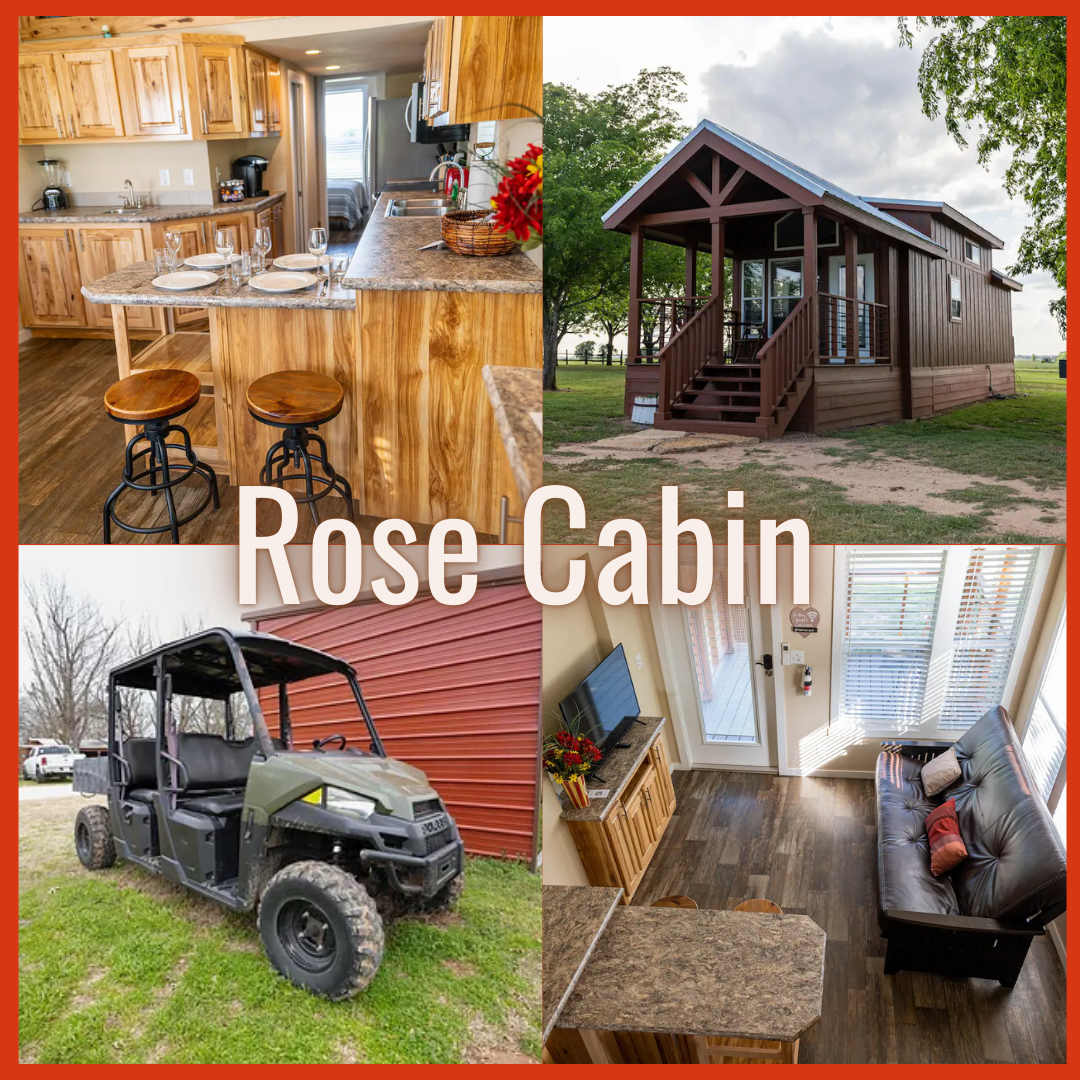 Exquisite Cabin, Enchanting Sunrises and Safari | Satin | Moon River Ranch