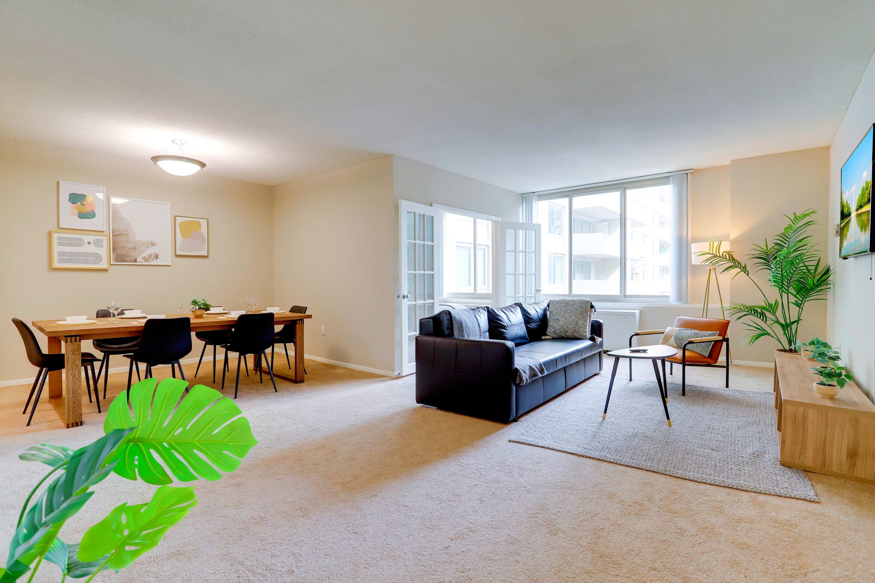 Executive Apt W/ Gym & Comfort - Washington, DC